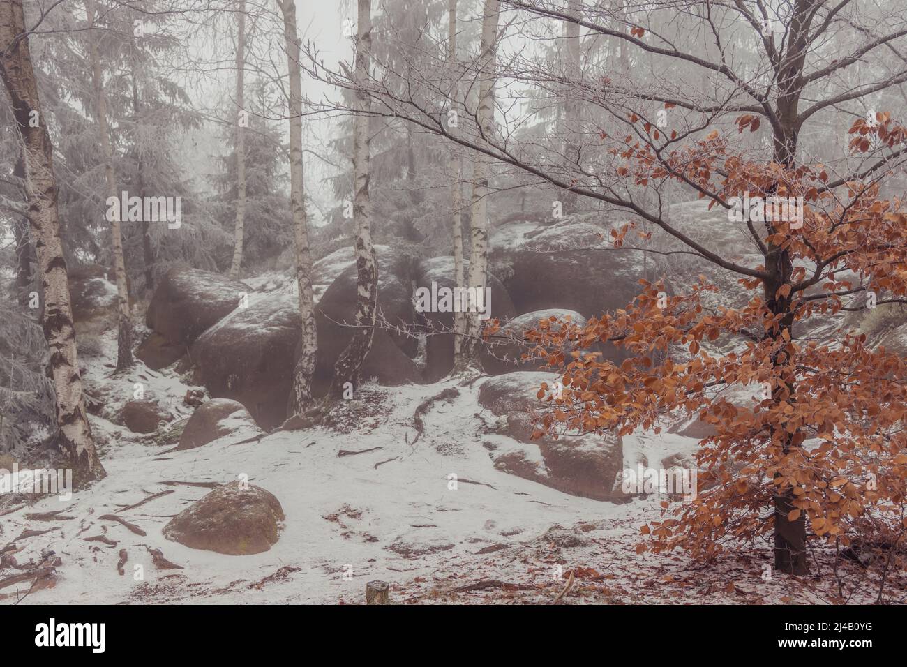 landscape in a nature reserve Broumovske steny, eastern Bohemia, Czech ...