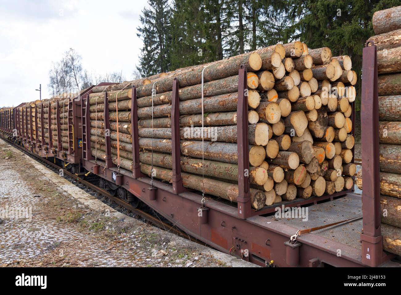 Transport of timber on railway wagons Stock Photo - Alamy