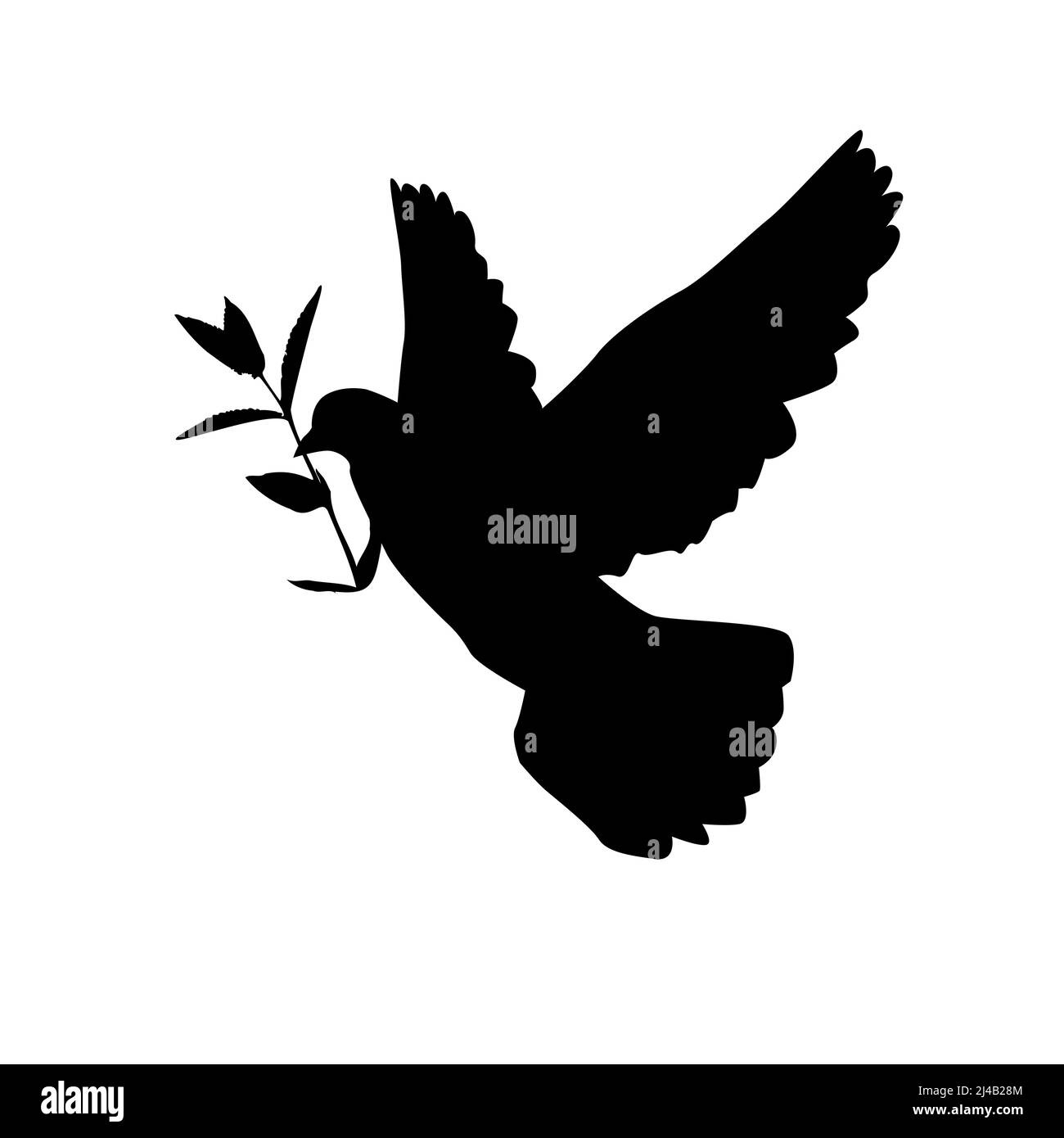 Vector black silhouette of a flying dove with branch on a white ...