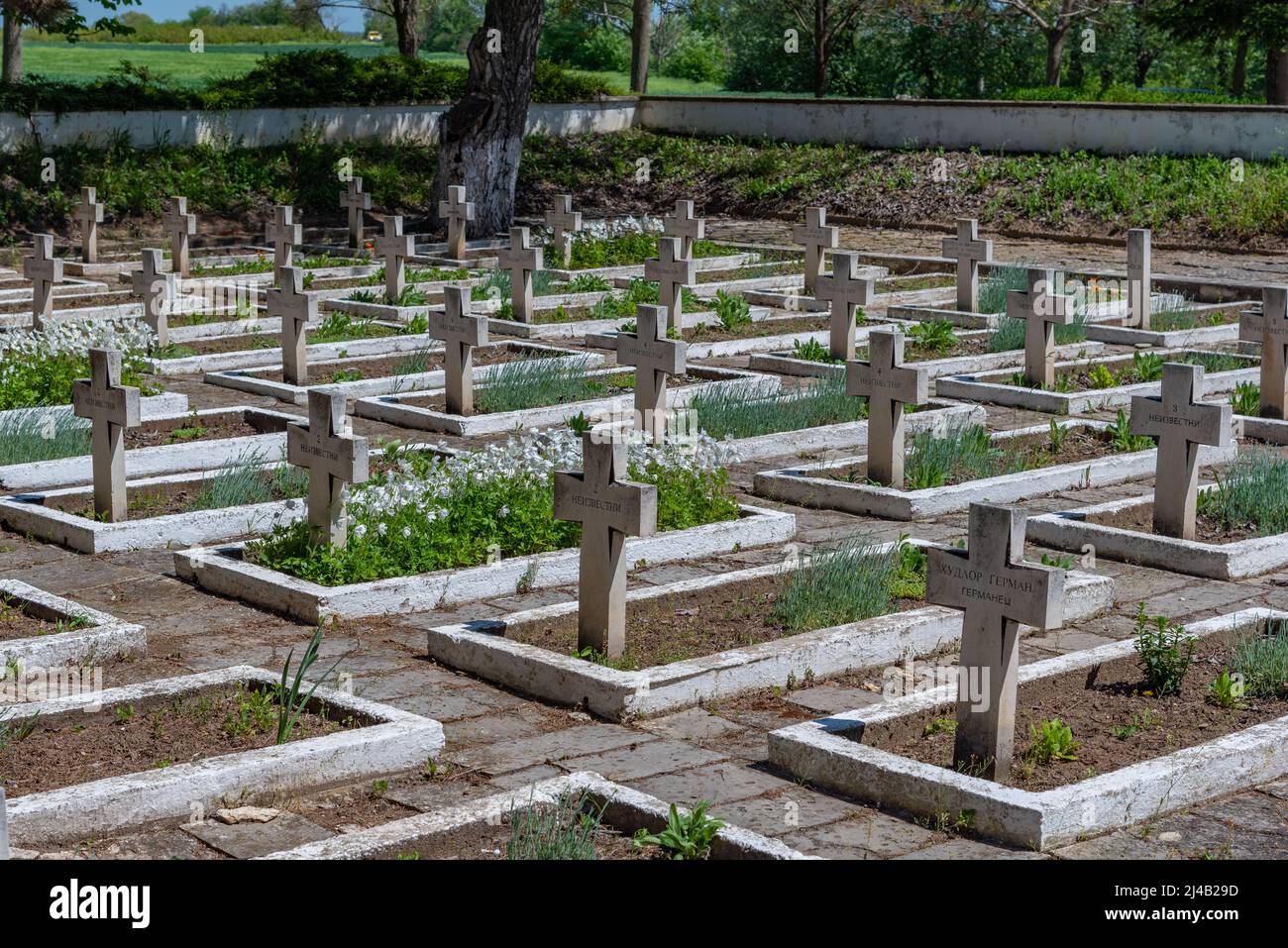 Tutrakan military cemetery in Bulgaria Stock Photo - Alamy