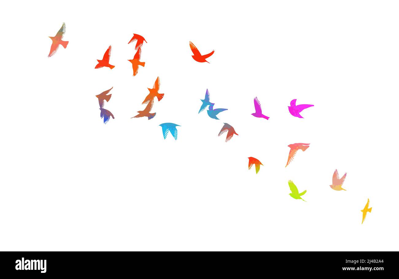 Multi-colored birds. A flock of flying rainbow birds. Vector ...