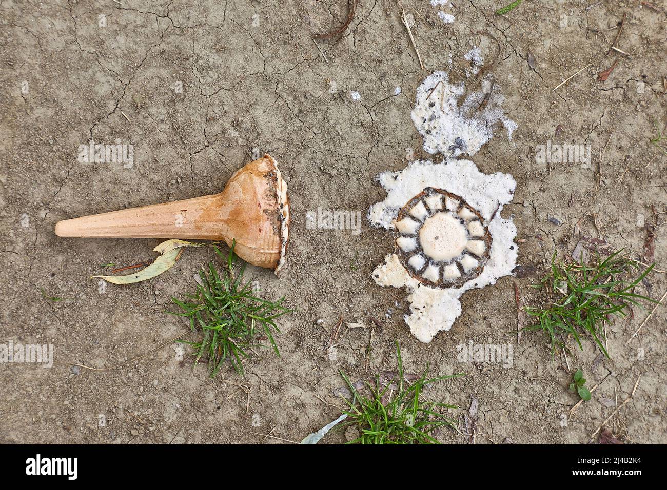 Fallen ice cream on the ground hi-res stock photography and images - Alamy