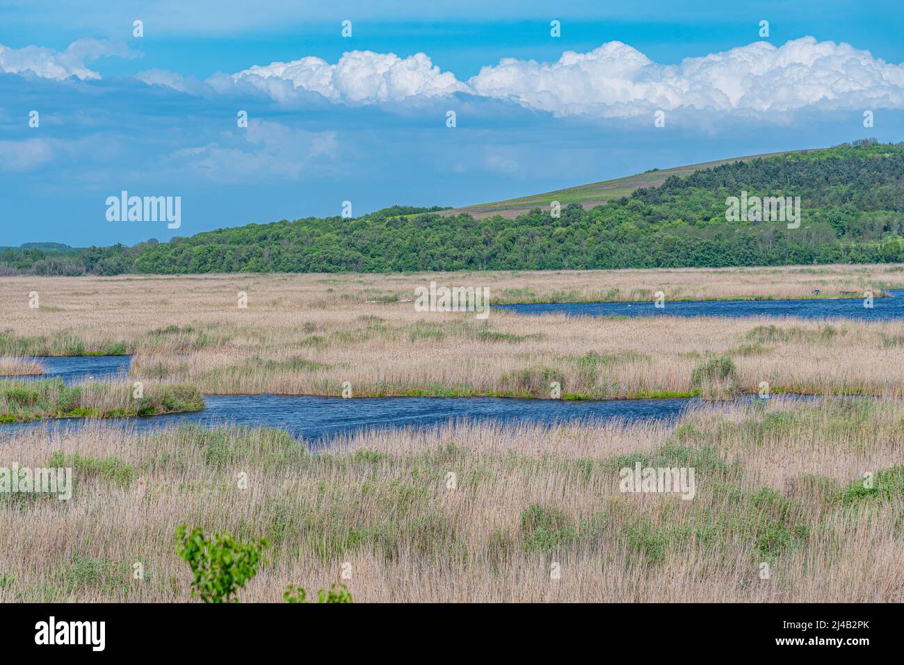 Srebarna natural reserve in Bulgaria Stock Photo - Alamy