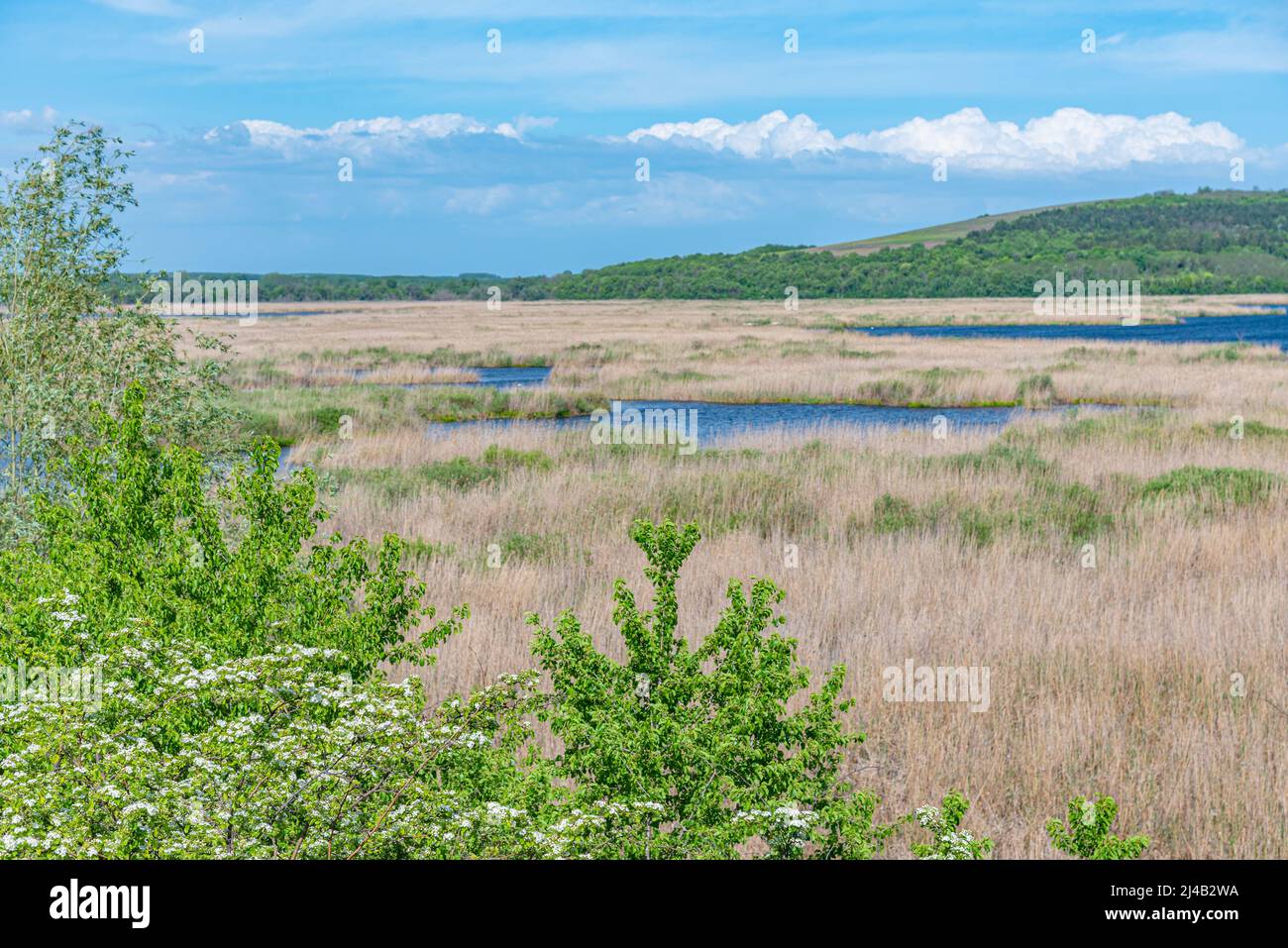 Srebarna natural reserve in Bulgaria Stock Photo - Alamy