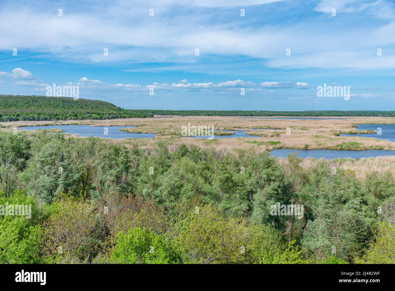 Srebarna natural reserve in Bulgaria Stock Photo - Alamy