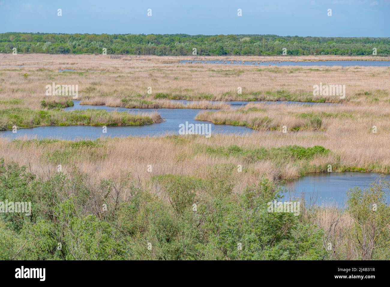 Srebarna natural reserve in Bulgaria Stock Photo - Alamy