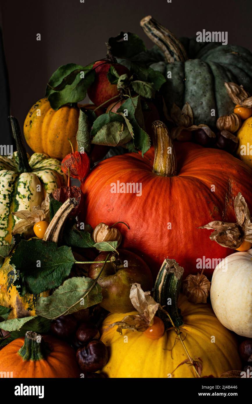 Winter Squash stacked in a multi colour display Stock Photo - Alamy