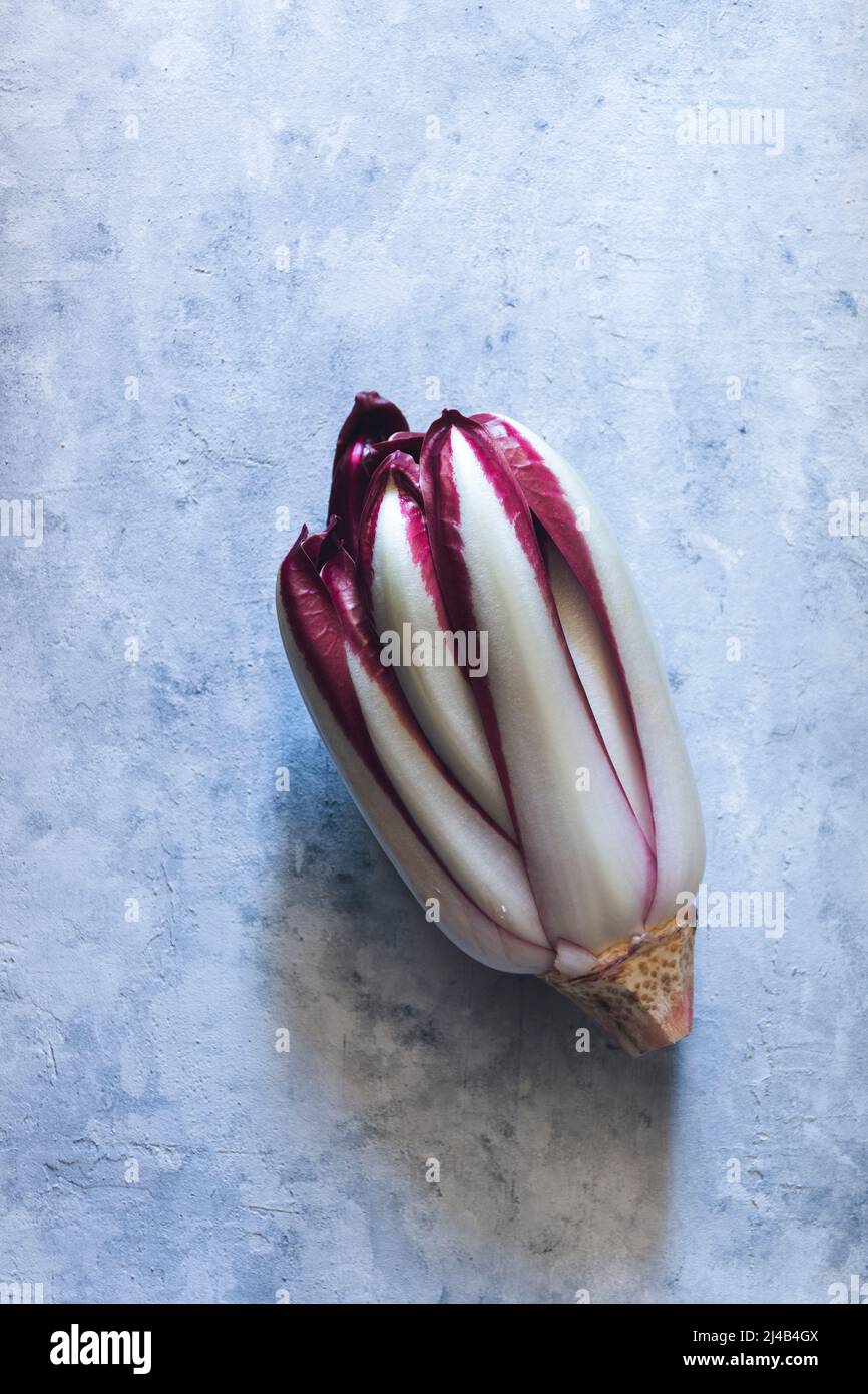 Fresh radicchio, Italian chicory, on a blue background Stock Photo - Alamy
