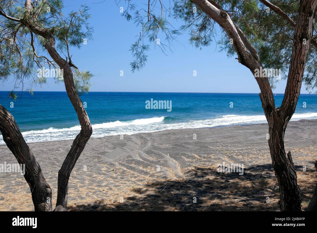 Trees and the beautiful black sandy beach of Perissa in Santorini Stock ...