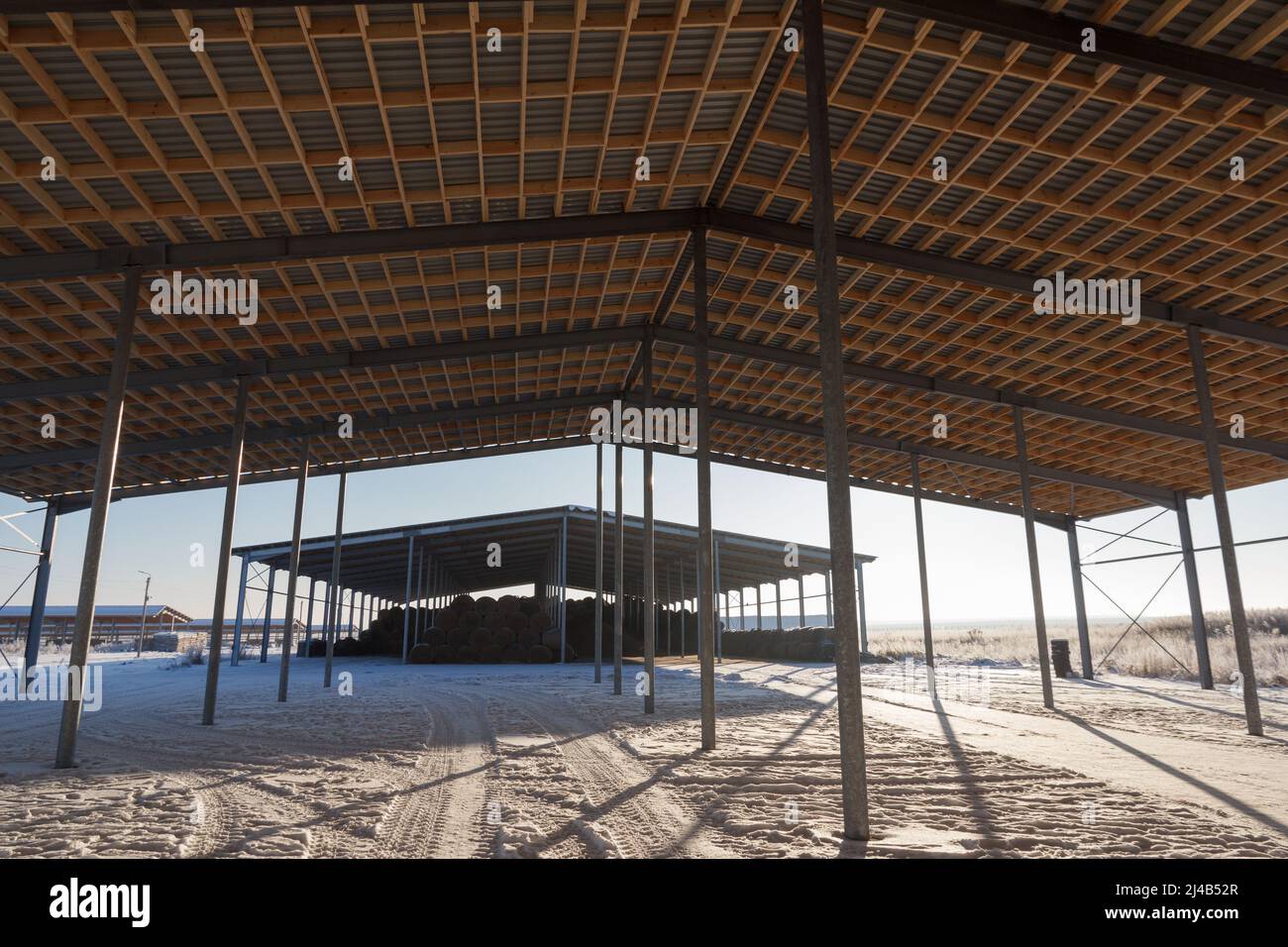 Timber frame roof construction in a barn under construction. Wooden ...