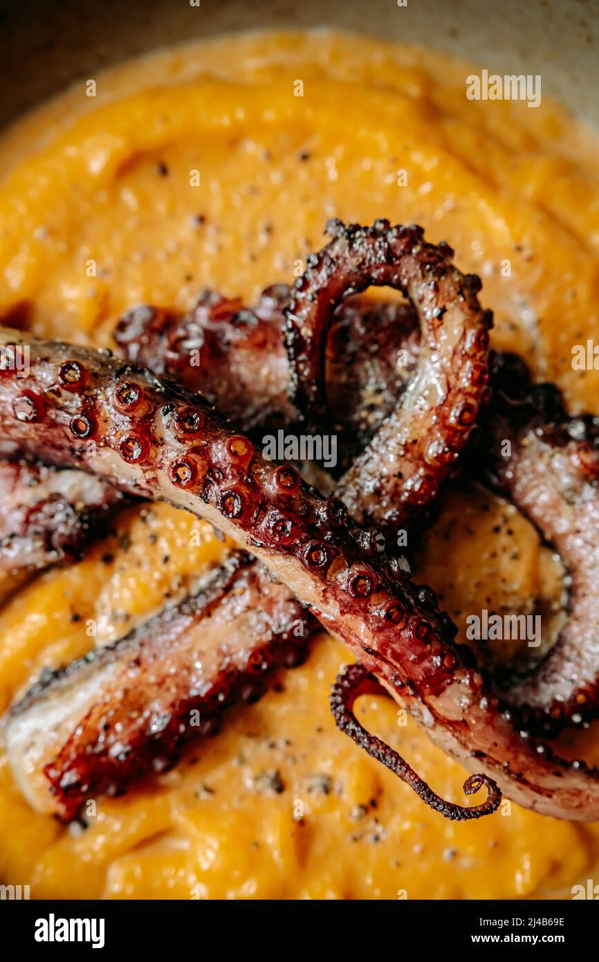 Close up of of grilled octopus tentacles, sweet potato puree, on a ...