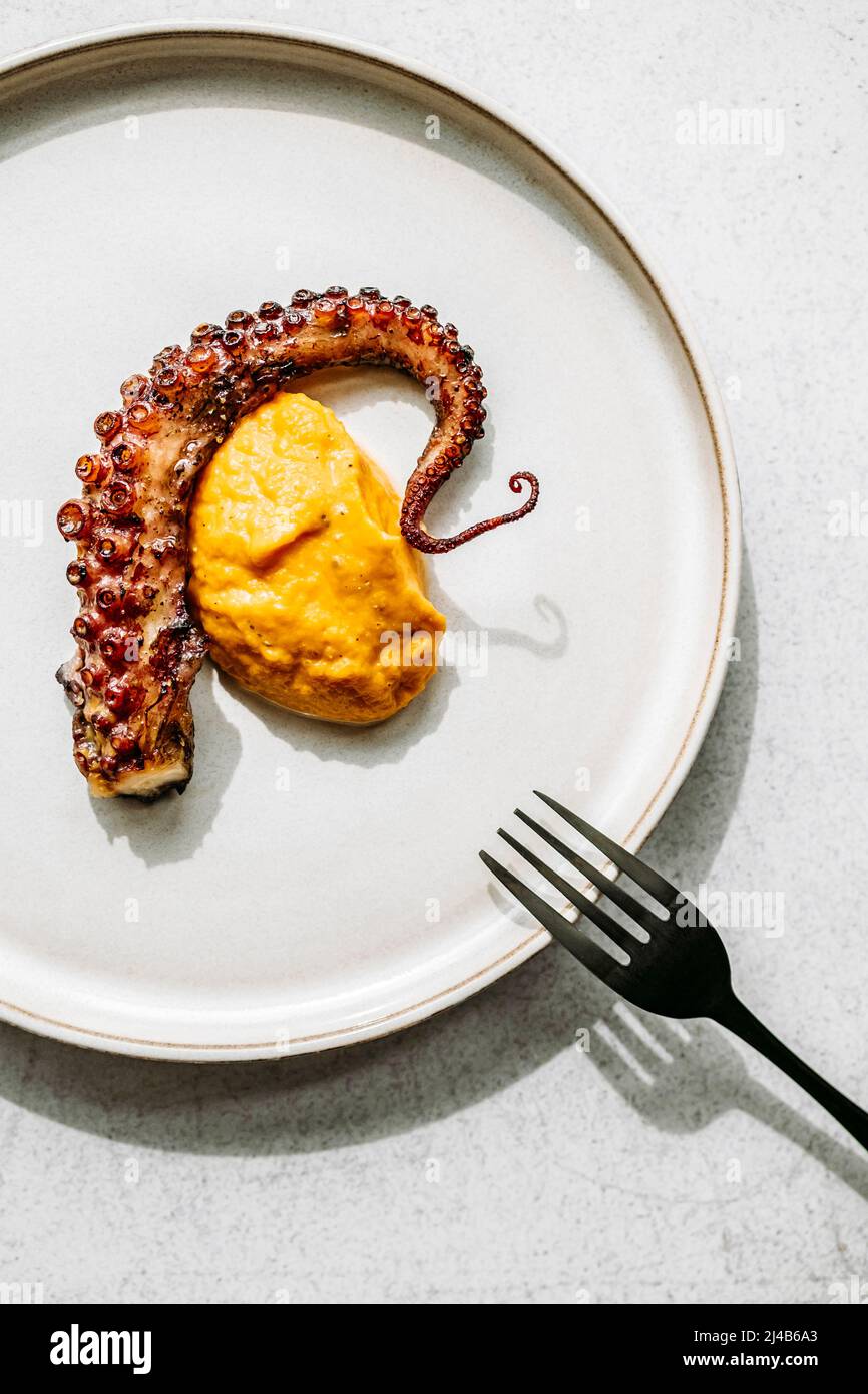 Octopus tentacle on black hi-res stock photography and images - Alamy