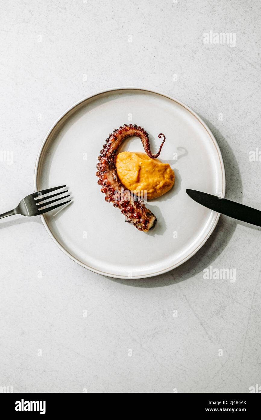 Top view of a grilled octopus tentacle, sweet potato puree, black ...
