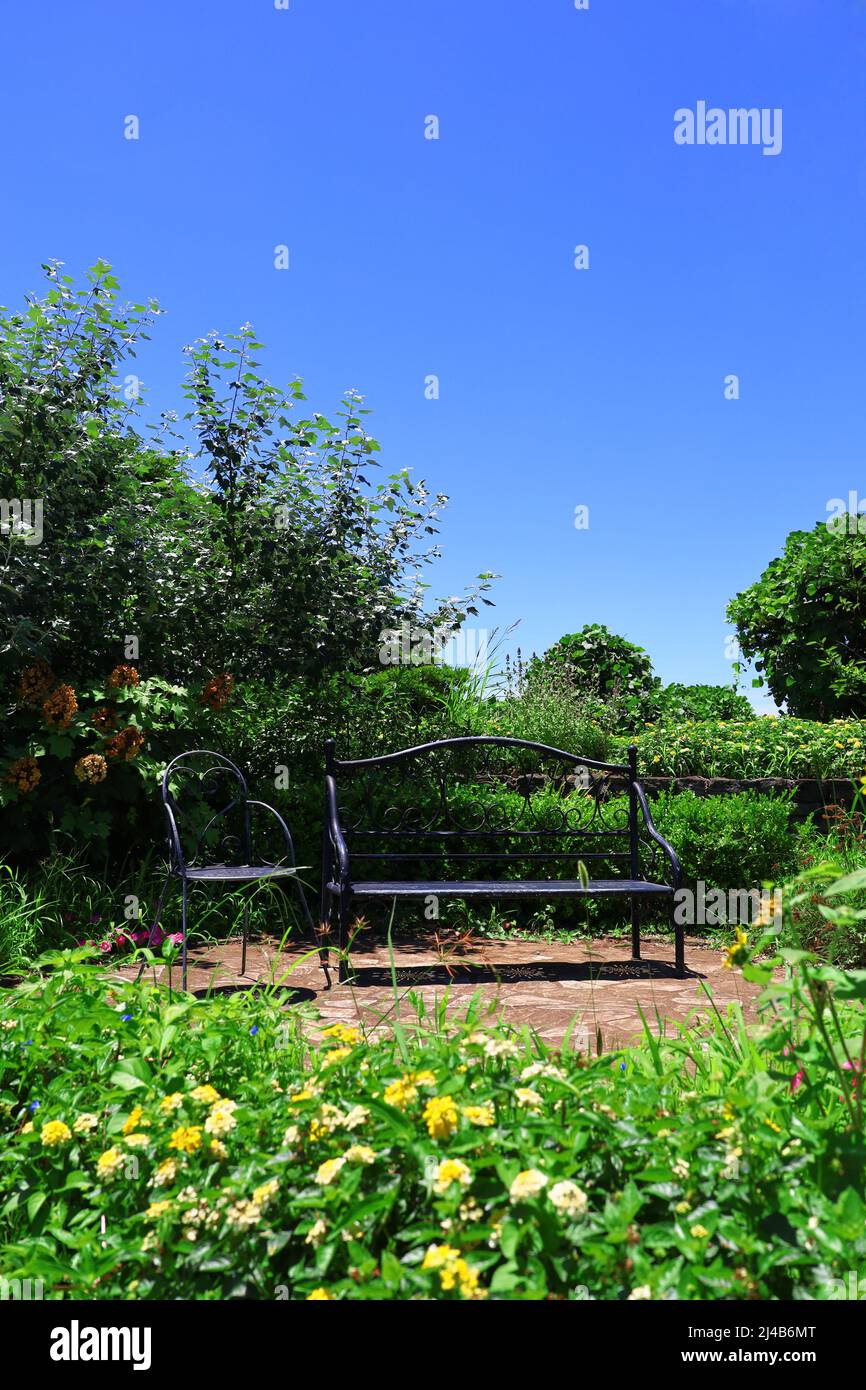 Bench in rural environment hi-res stock photography and images - Alamy