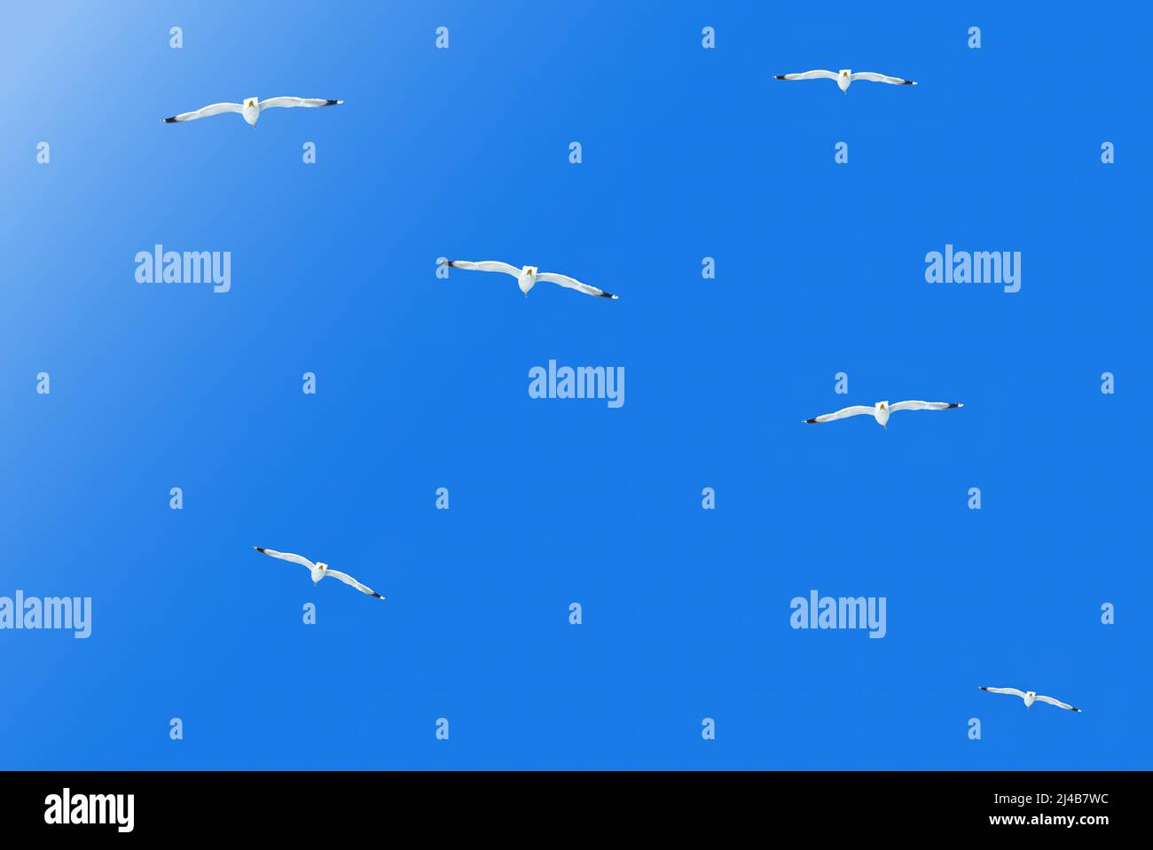 Seamless environment hi-res stock photography and images - Alamy