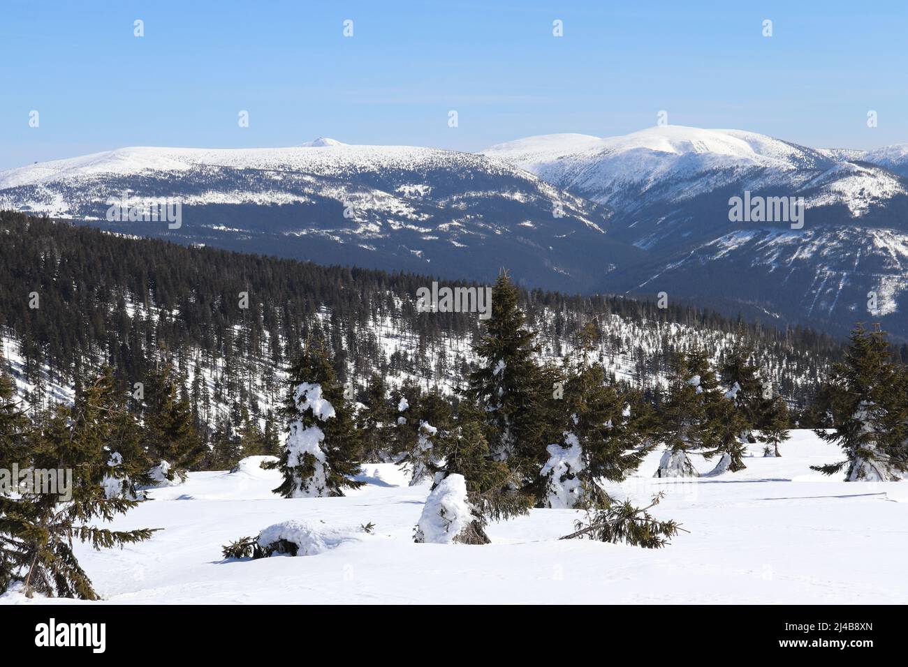 Winter scene in the upper parts of Krkonoše mountains (Giant Mountains ...