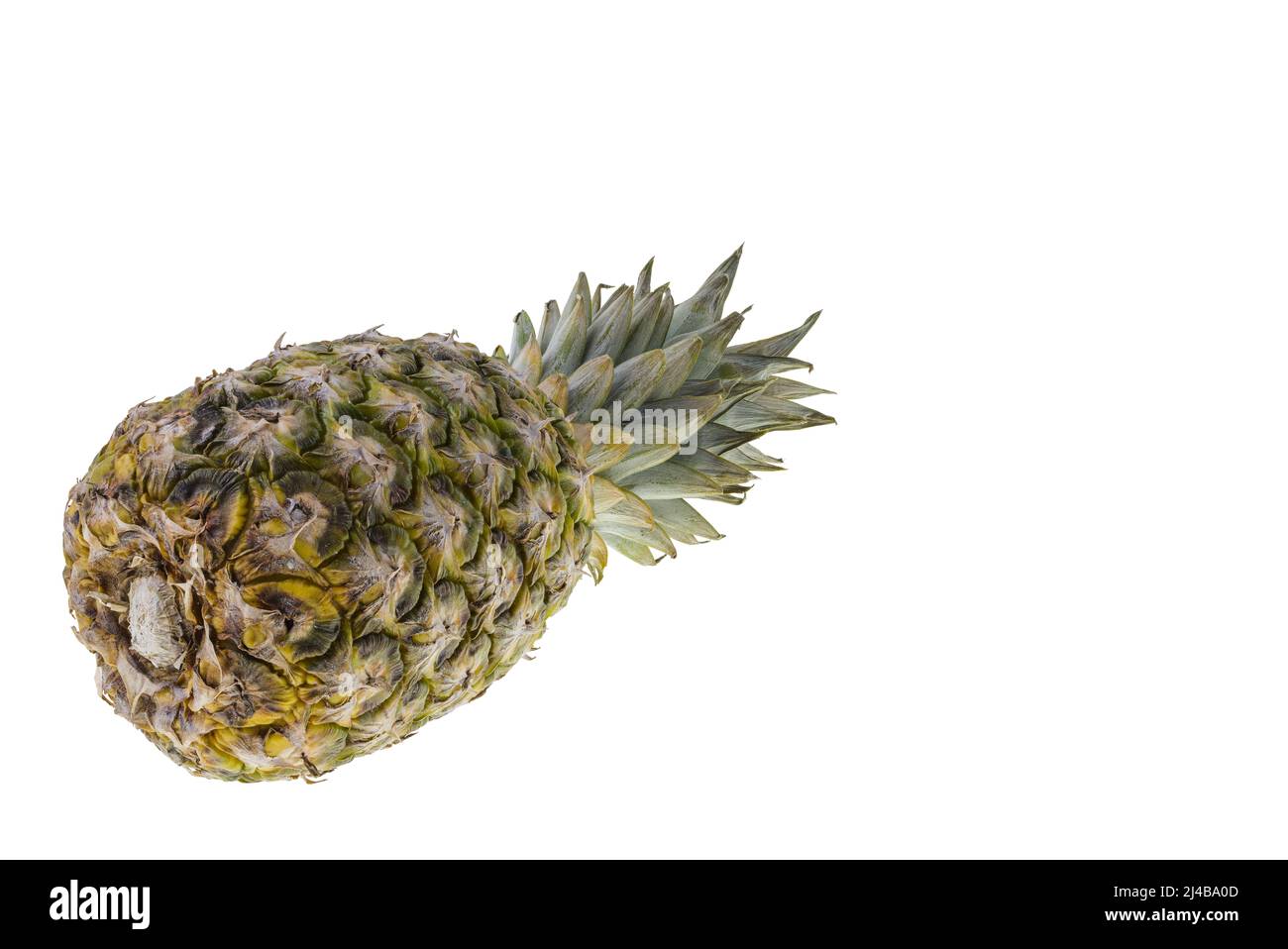 Close up view of ananas isolated on white background Stock Photo - Alamy