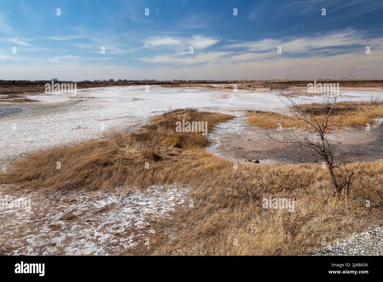 Oklahoma wildlife hi-res stock photography and images - Alamy