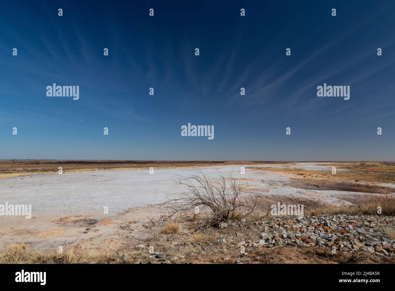 Plains wildlife hi-res stock photography and images - Alamy