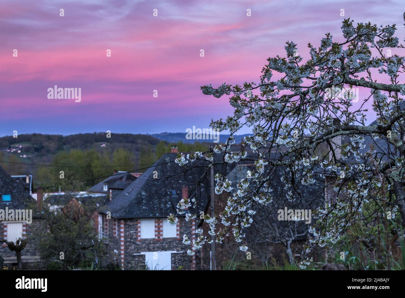 Soleil de printemps hi-res stock photography and images - Alamy