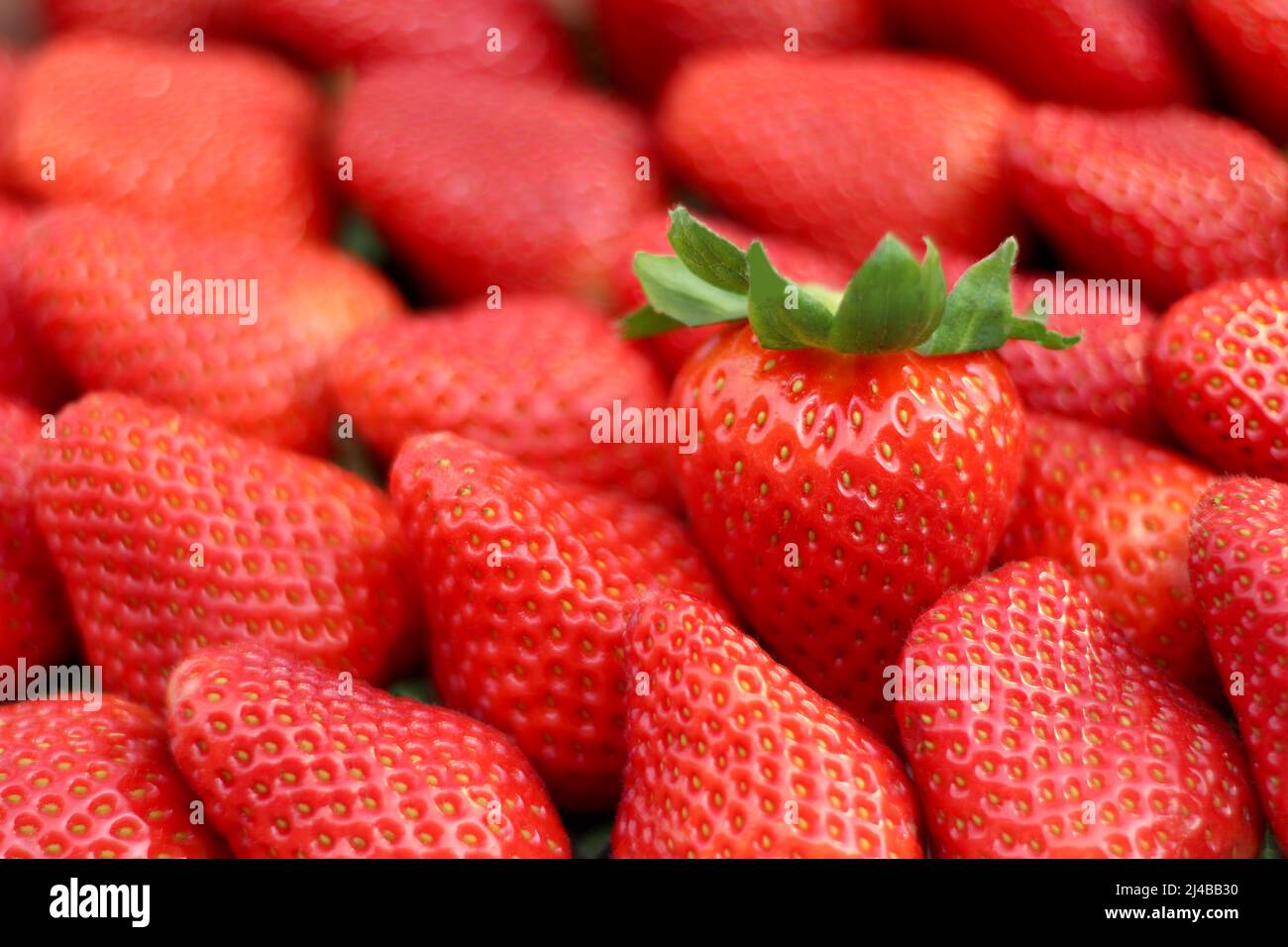 Strawberry, background Large grain and sweet. This strawberry is ...