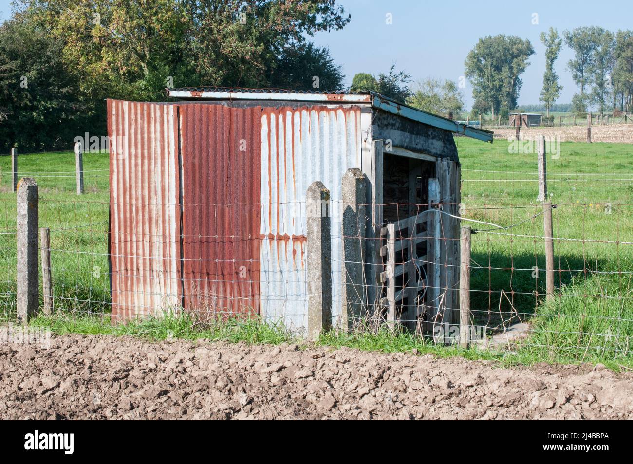 Sheep house hi-res stock photography and images - Alamy