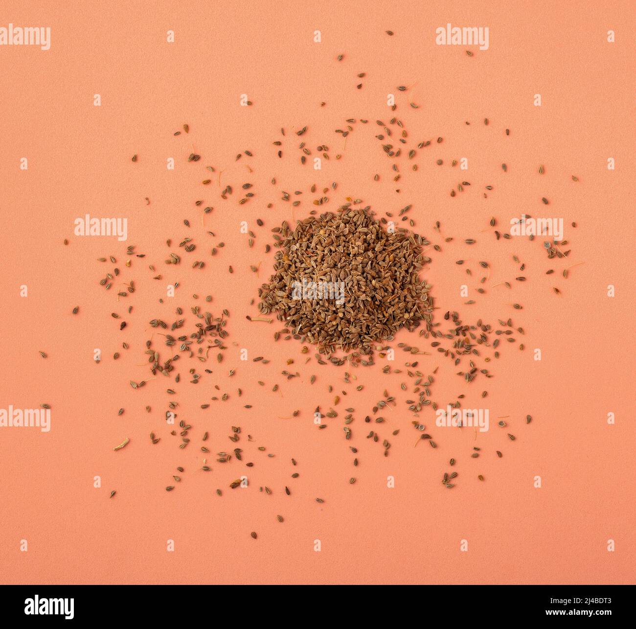 Anise seed seasoning in the heap - Pimpinella anisum Stock Photo - Alamy