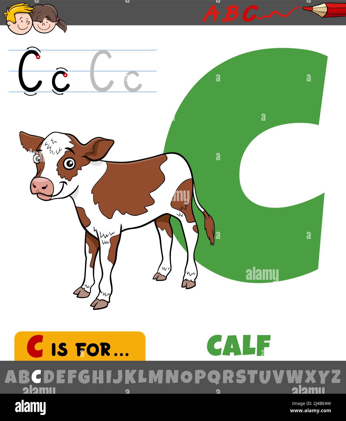 Educational cartoon illustration of letter C from alphabet with calf ...