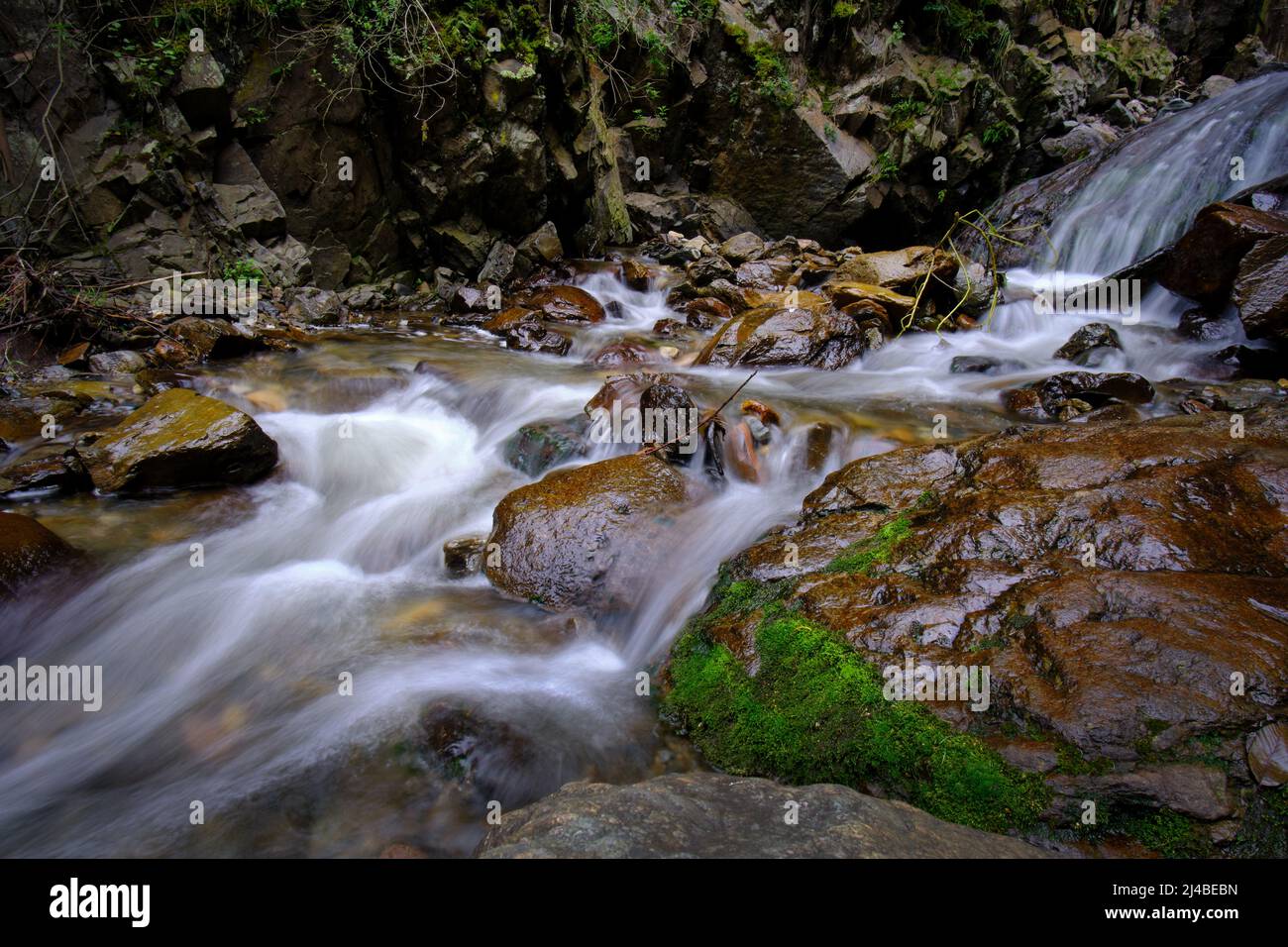 Beautiful landscape of inter-Andean forest where a stream of water runs ...