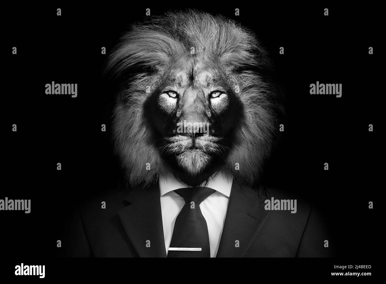 Man in the form of a Lion with Suit and tie , The lion person , animal ...