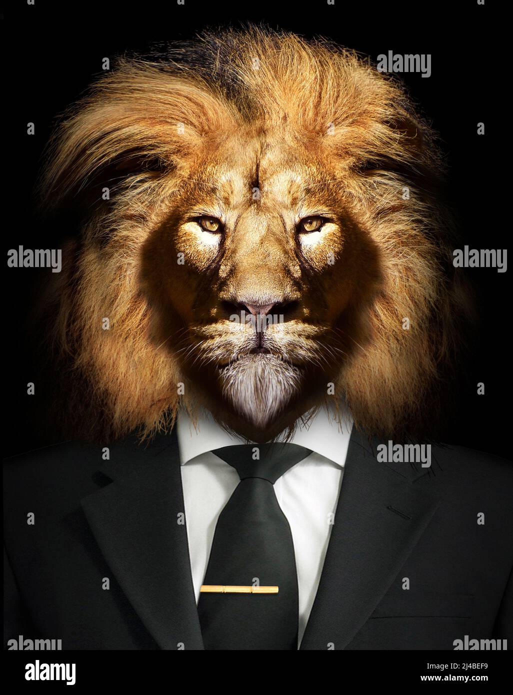 Man in the form of a Lion with Suit and tie , The lion person , animal ...