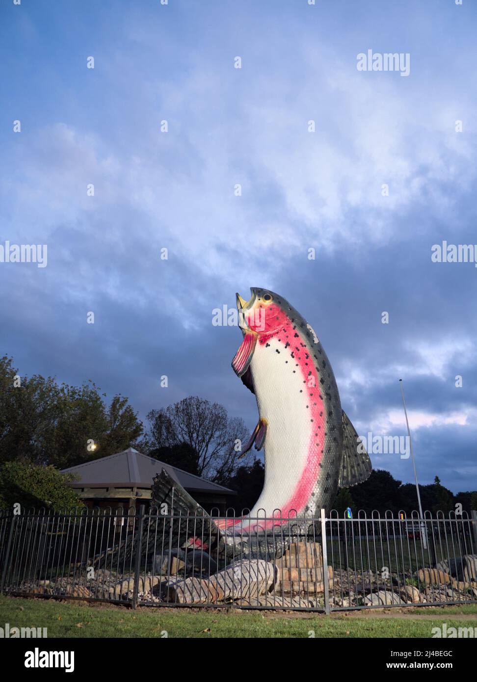 The Big Trout, Adaminaby Stock Photo - Alamy