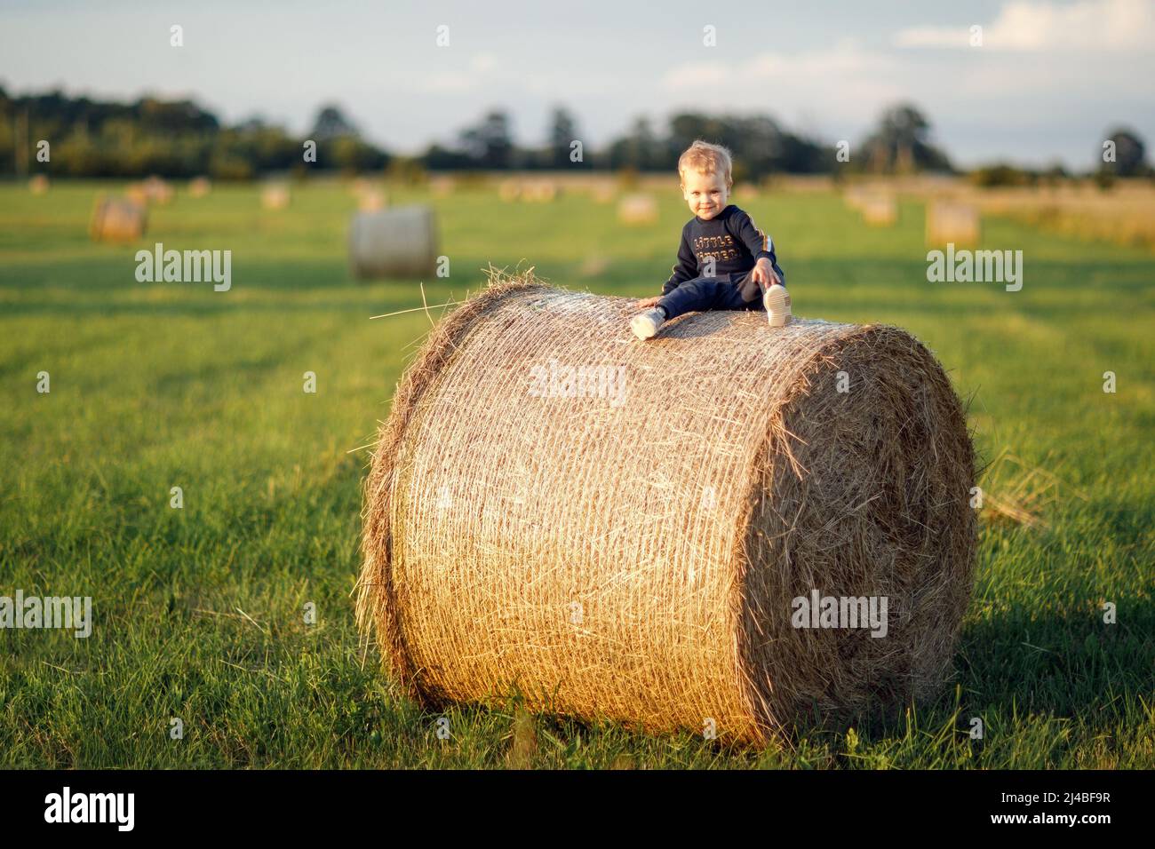 The little boy sits on a large roll of hay in a green meadow, posing ...
