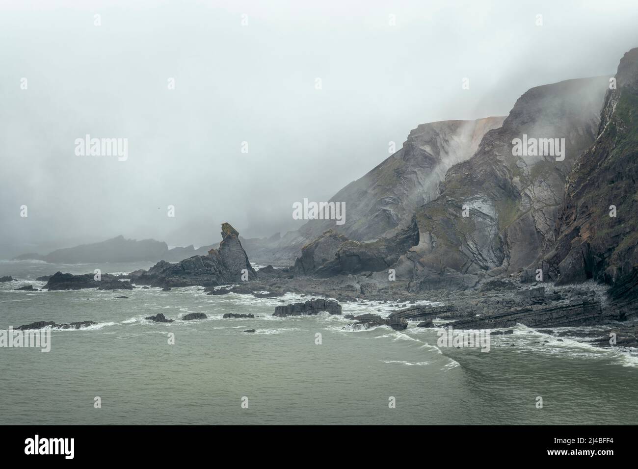 Drifting mist shrouds Warren Cliff on the unspoilt rugged coastline ...