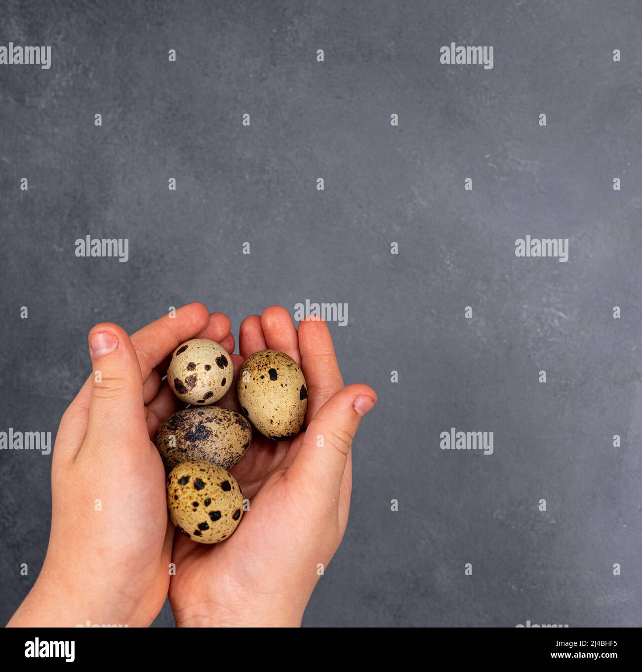 Hand picking eggs hi-res stock photography and images - Alamy