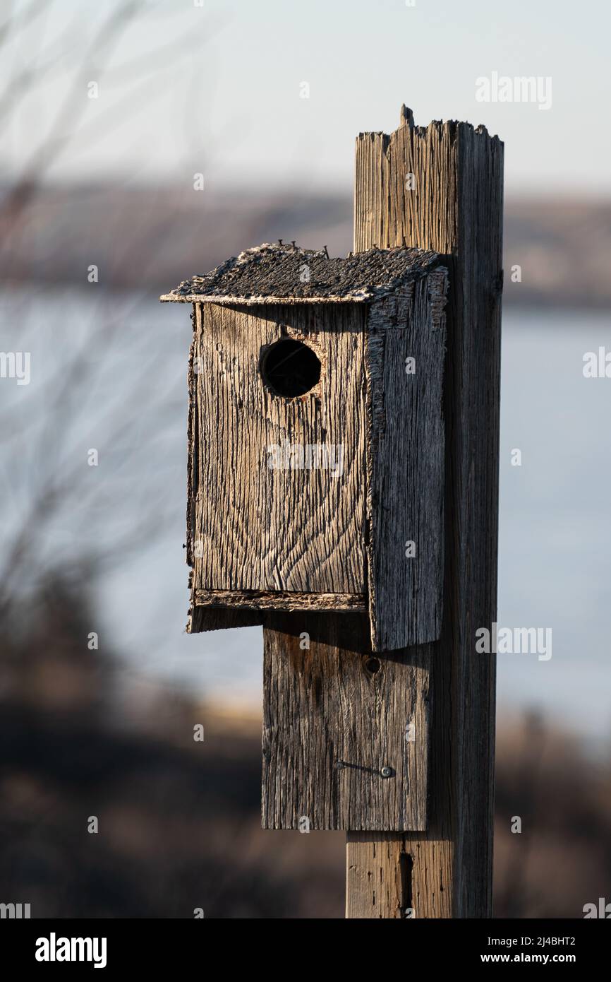 Bird House at lakeshore Stock Photo - Alamy