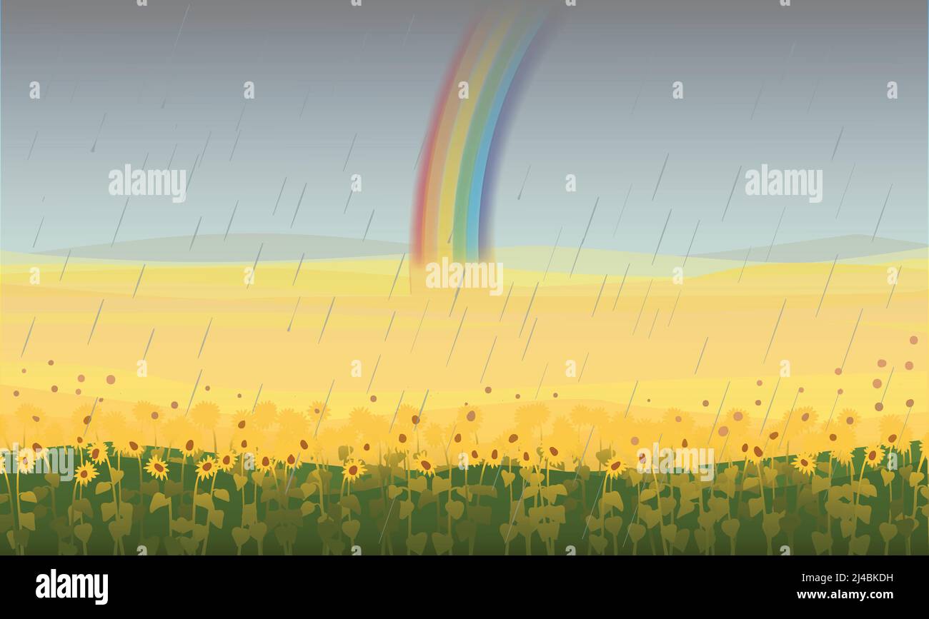 Colorful beautiful field landscape background with sunflowers and ...