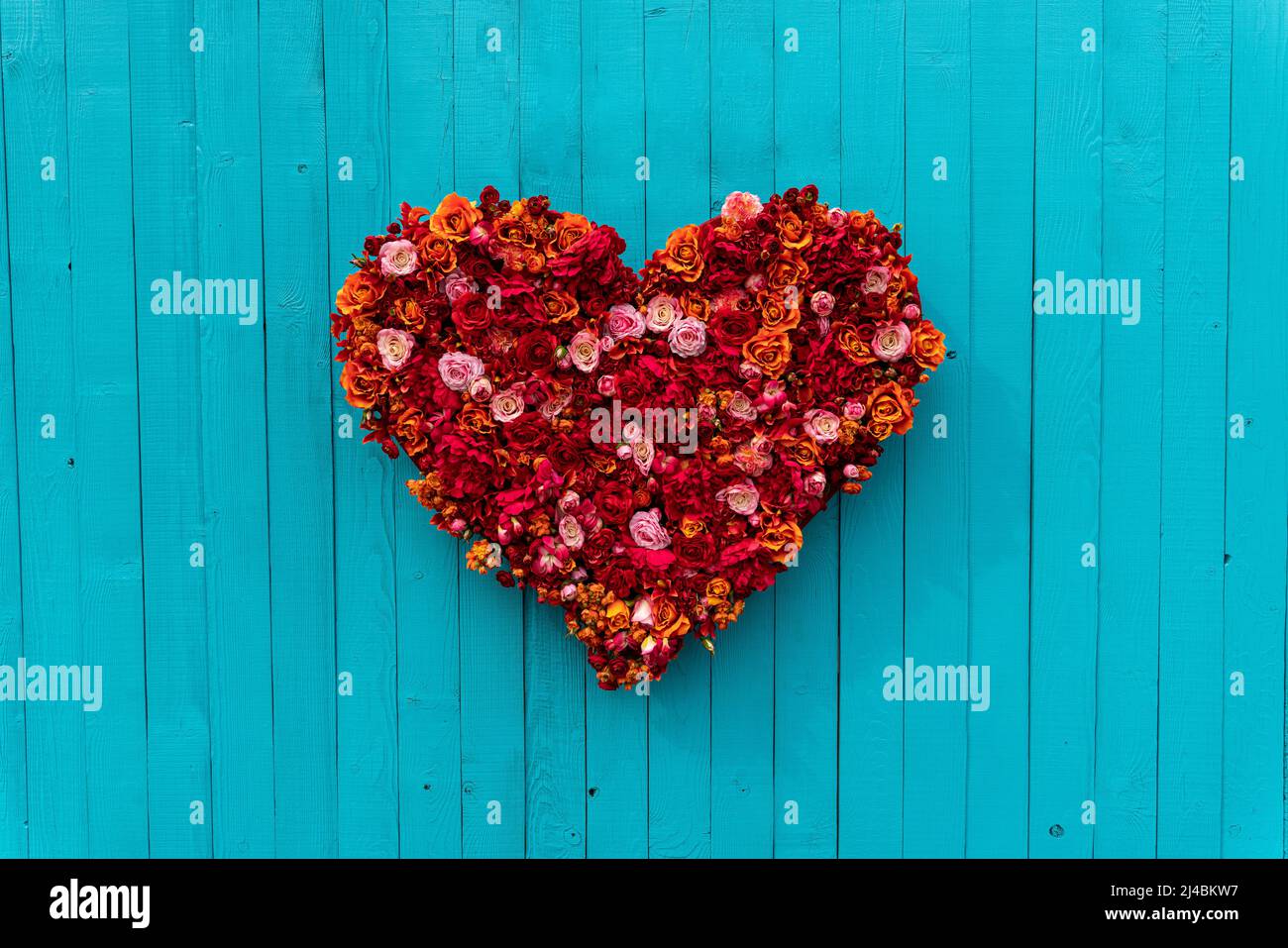 Flowers heart shape. Valentine's Day. Color palette. fashion love. High ...