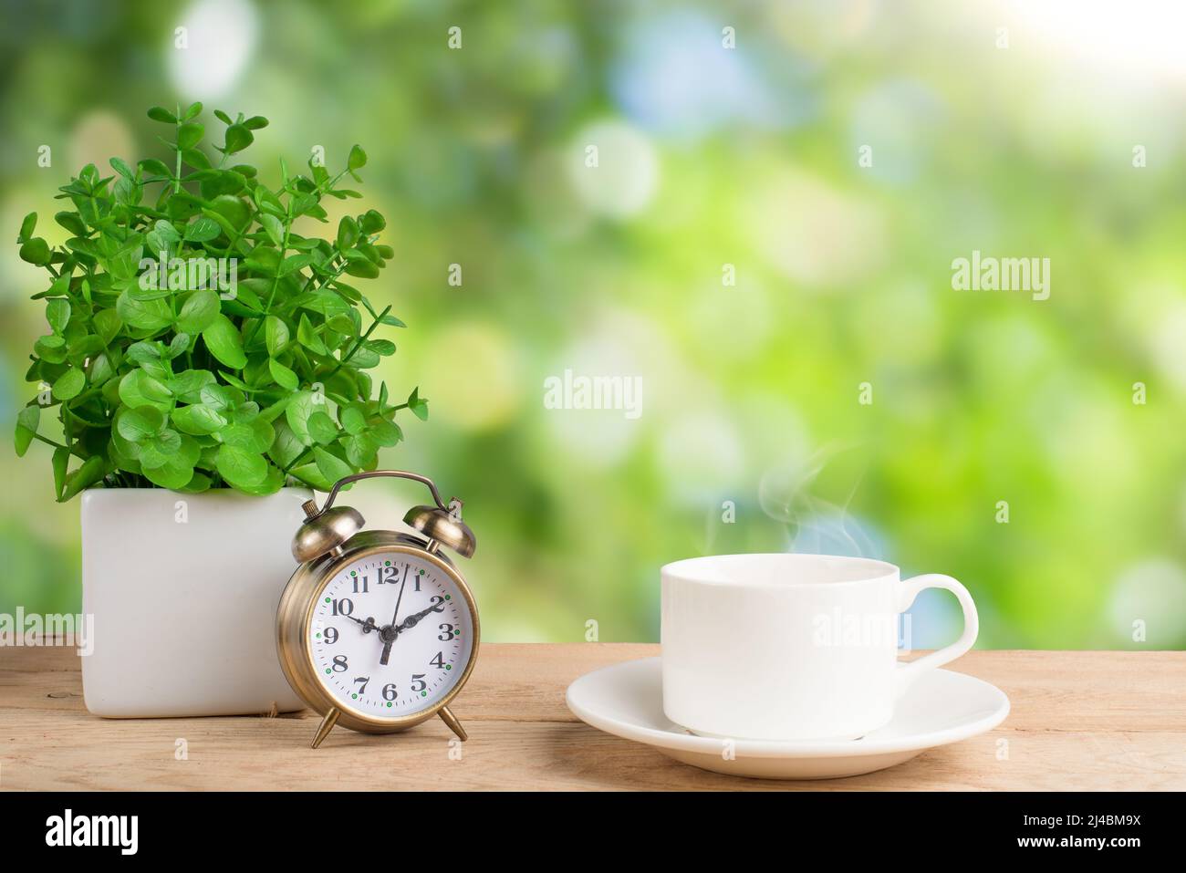 Flower, alarm clock and coffee cup. Morning background Stock Photo - Alamy