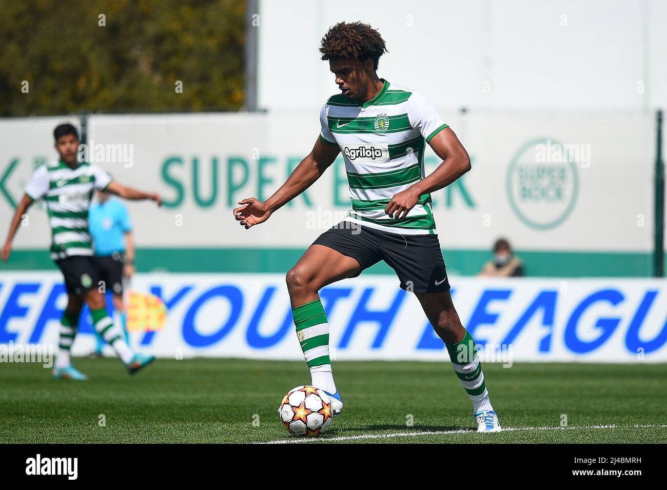 Renato veiga hi-res stock photography and images - Alamy