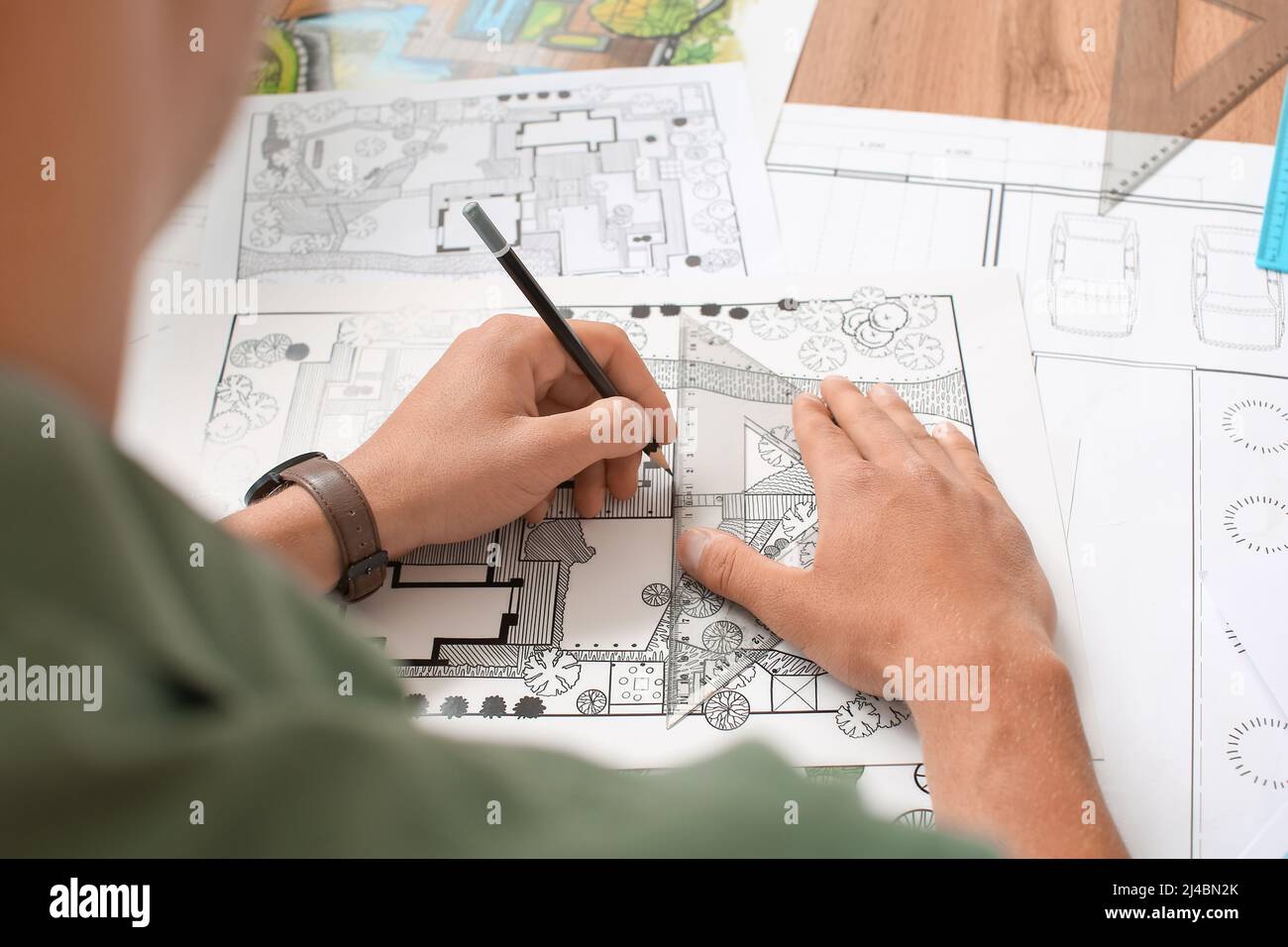 Young male landscape designer working in office Stock Photo - Alamy