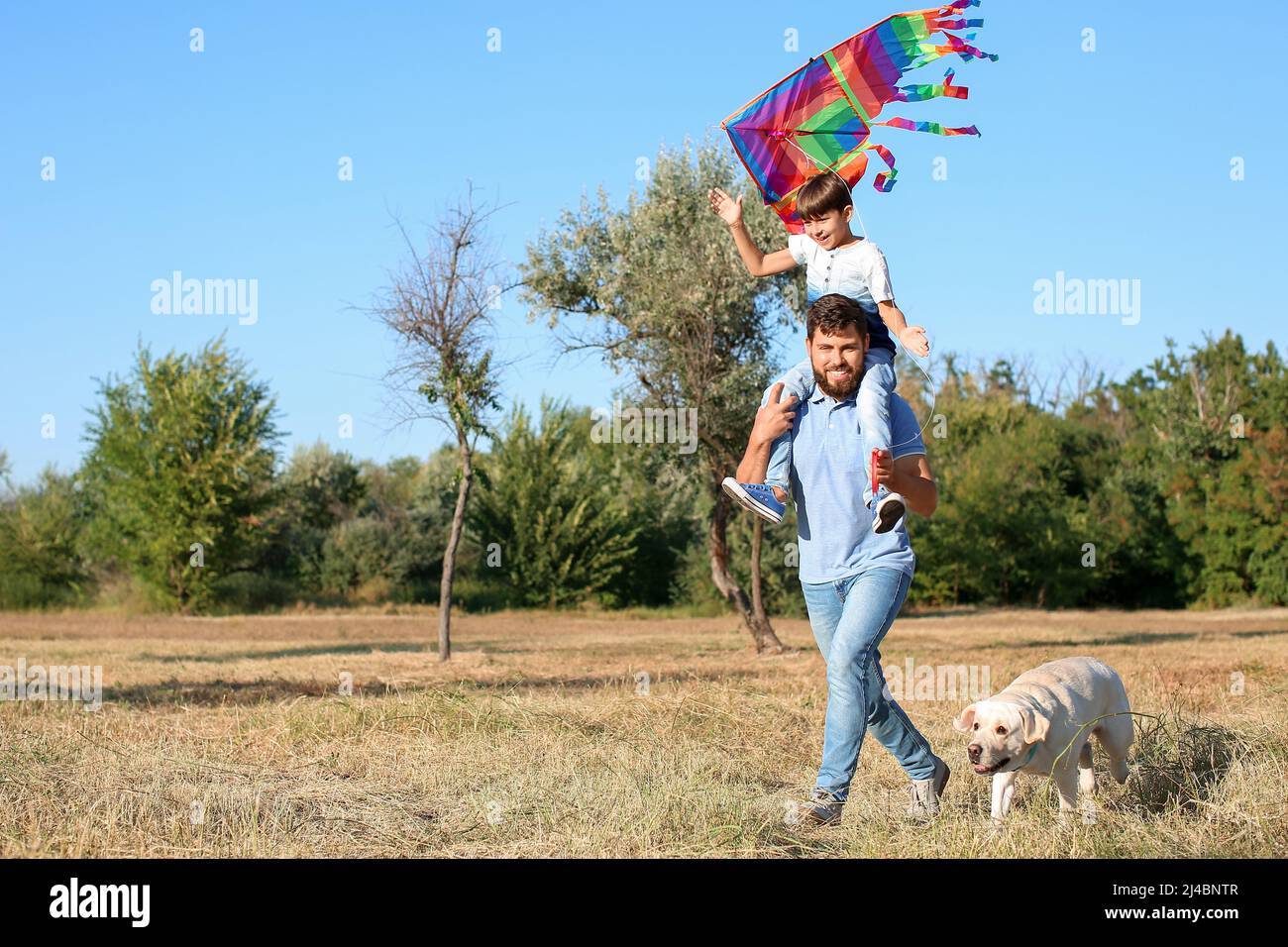 Happy father carrying pickaback his little son with kite outdoors Stock ...