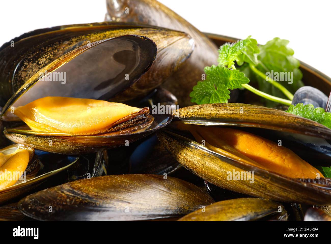 Shellfish dish. Seafood dishes. Mussels in sauce Stock Photo - Alamy