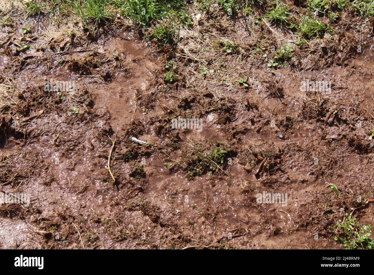 A Muddy Ground Background Texture Stock Photo - Alamy