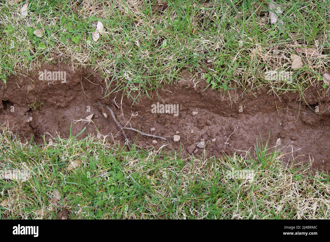 A Drainage Channel Dug in a Grassy Lawn Stock Photo - Alamy