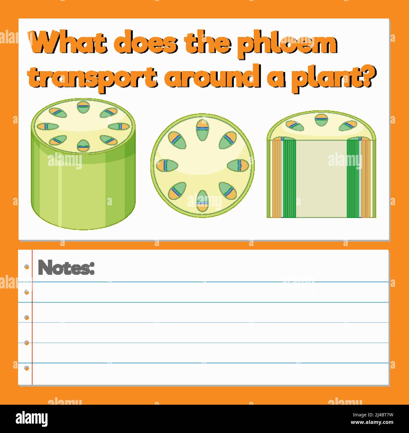 Science Experiment Log Worksheet illustration Stock Vector Image & Art ...