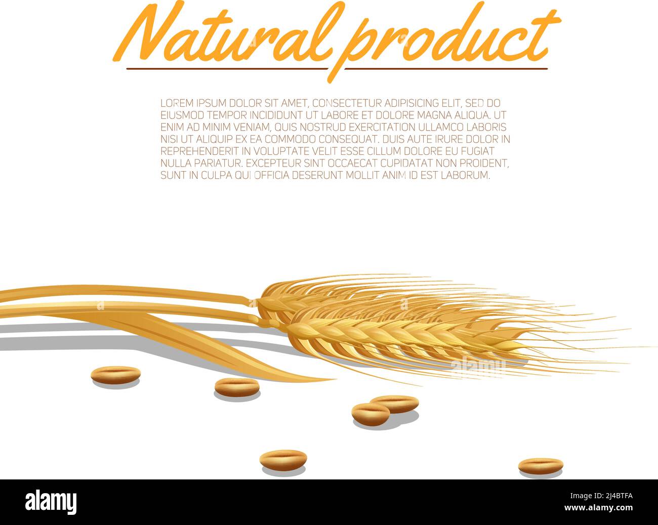Wheat grain poster Cut Out Stock Images & Pictures - Alamy