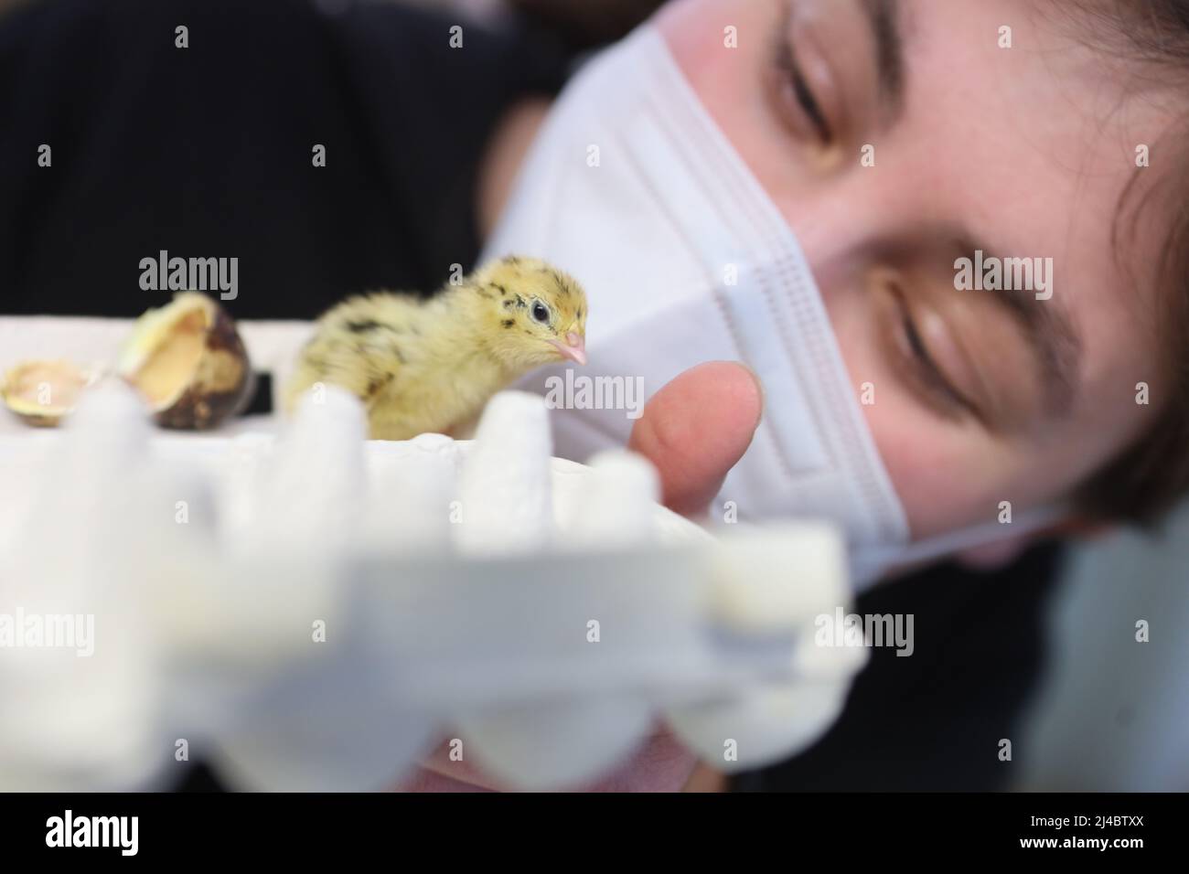 11 April 2022, Saxony-Anhalt, Halberstadt: Museum employee Susanne ...