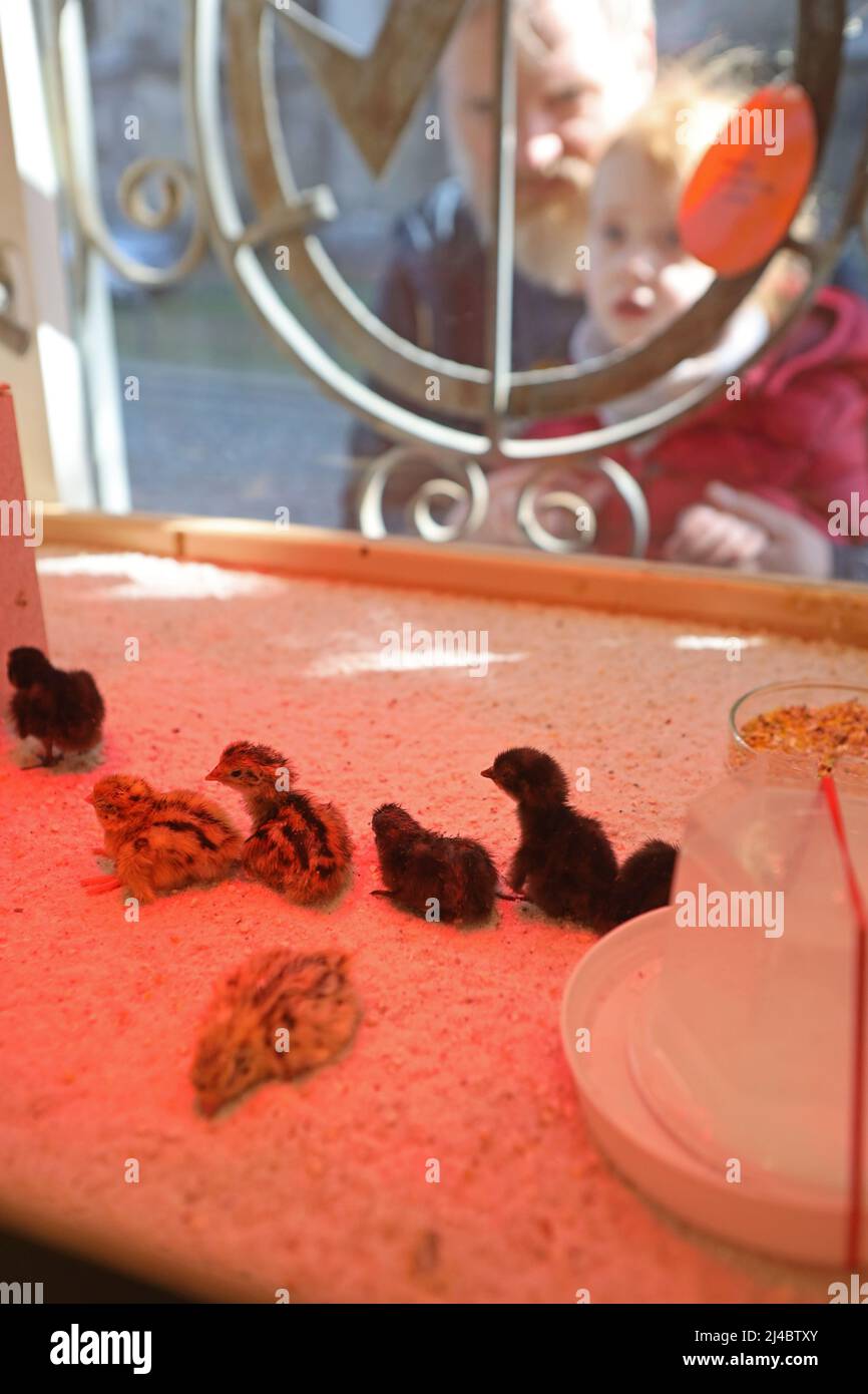 Easter eggs window display hi-res stock photography and images - Alamy