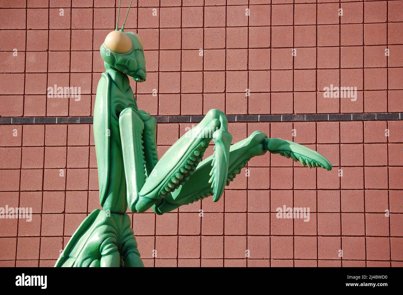 Giant green grasshopper against wall at Butterfly Pavilion in ...